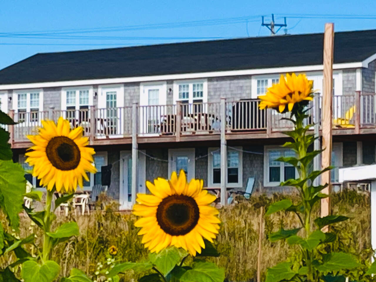 Aux Portes de la Grave | Résidence de tourisme aux Îles-de-la-Madeleine